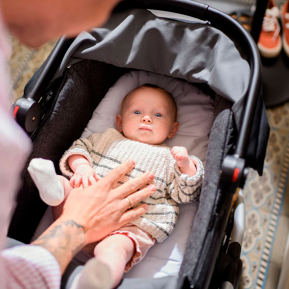 Moisés 0 A 9kg Oria, Maxi-Cosi - Seu Guia De Informações